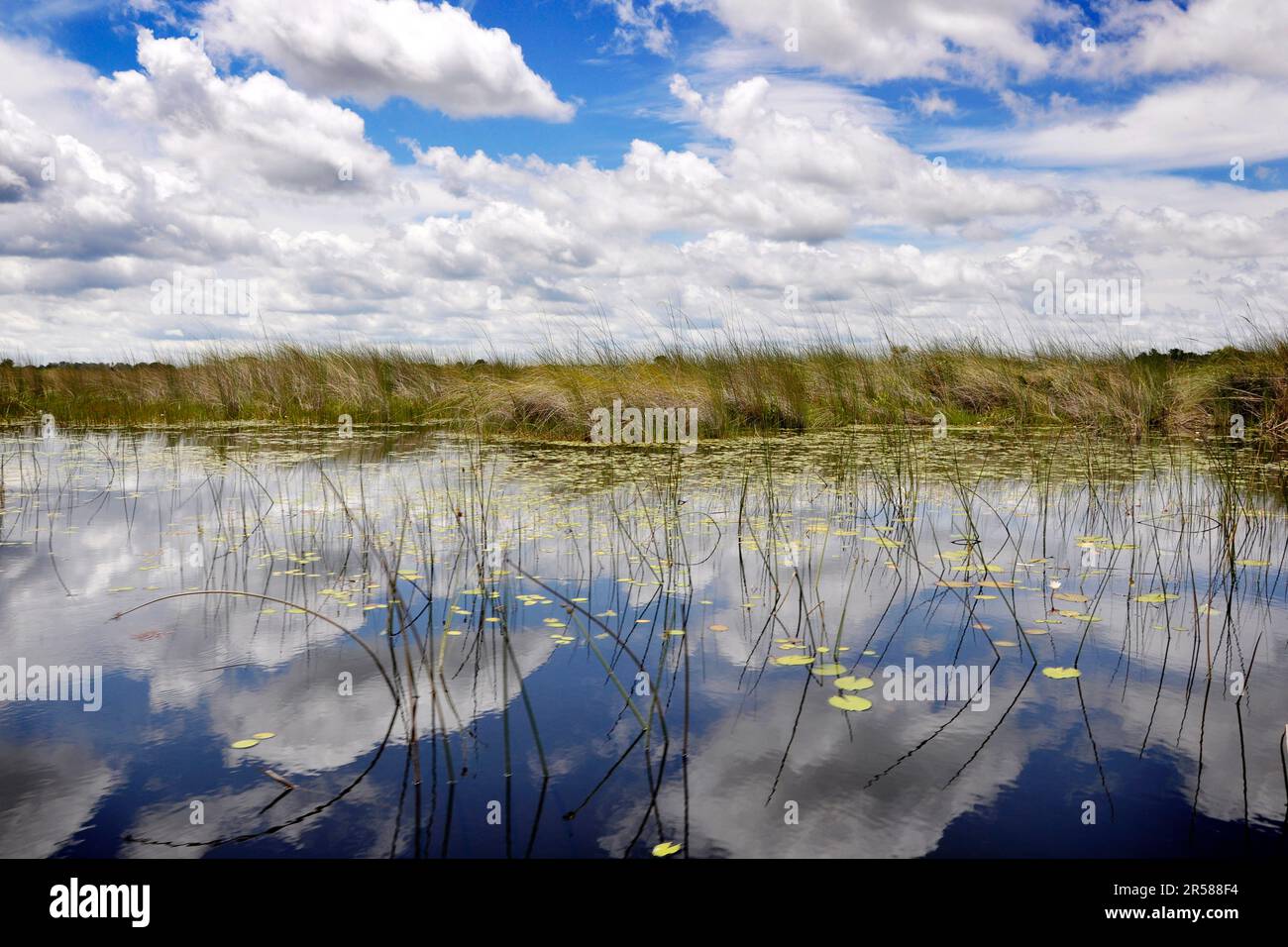 Okawango delta hi-res stock photography and images - Alamy