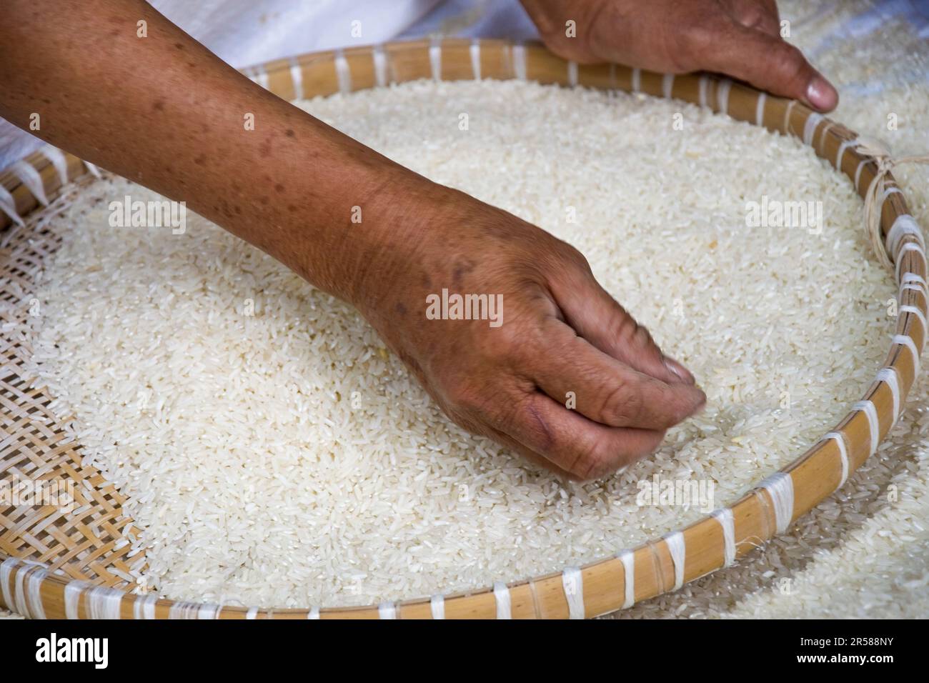 Vietnam rice delta hi-res stock photography and images - Alamy