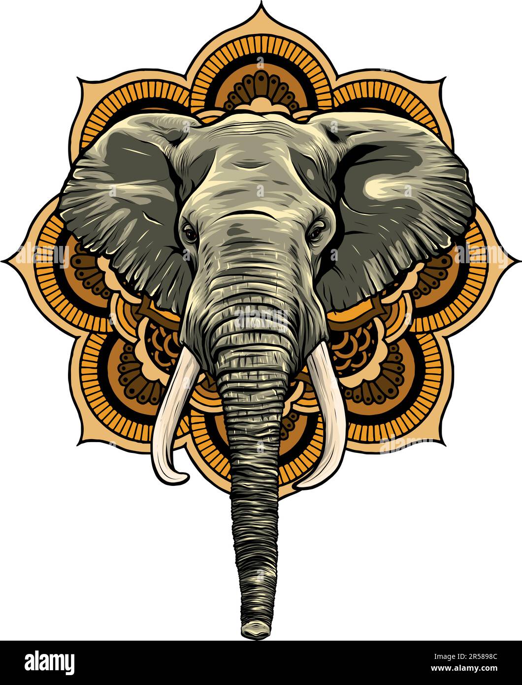 vector color illustration of head African elephant Stock Vector Image ...