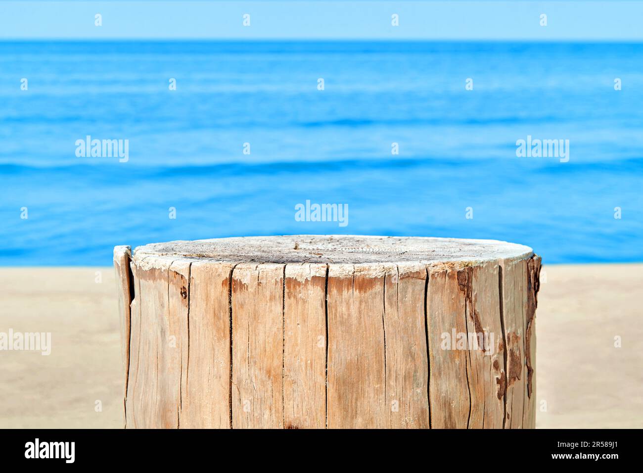 cracked weather beaten cut of a tree trunk, a stump on the sandy shore ...