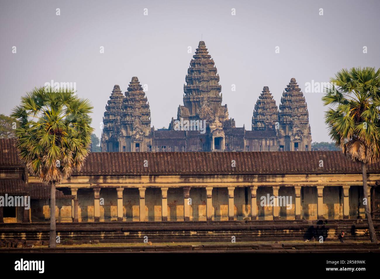 Ancient Angkor Wat Temple in Cambodia Stock Photo - Alamy