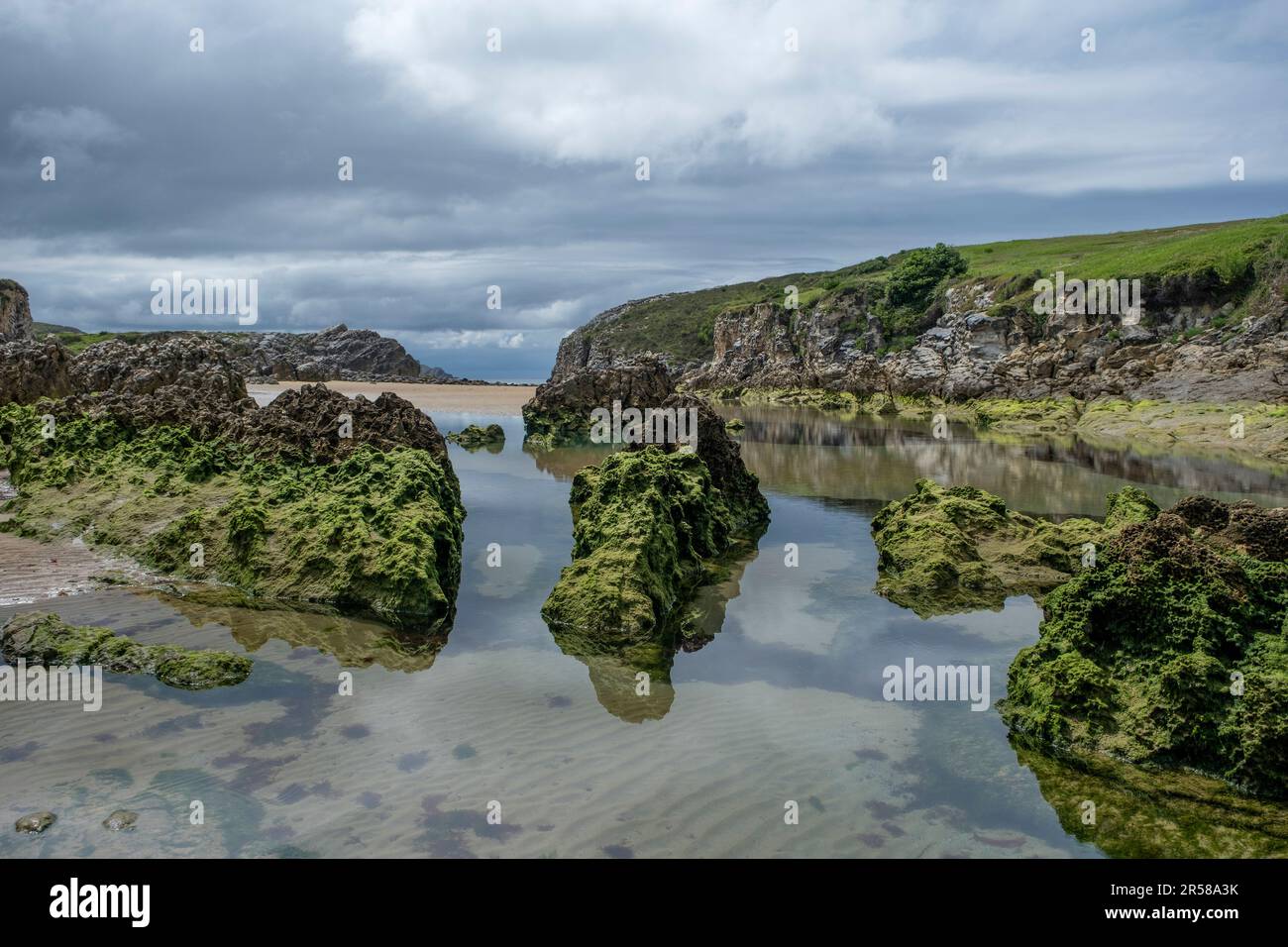 Beach with sedimentary rocks covered by green moss in Playa Virgen del ...