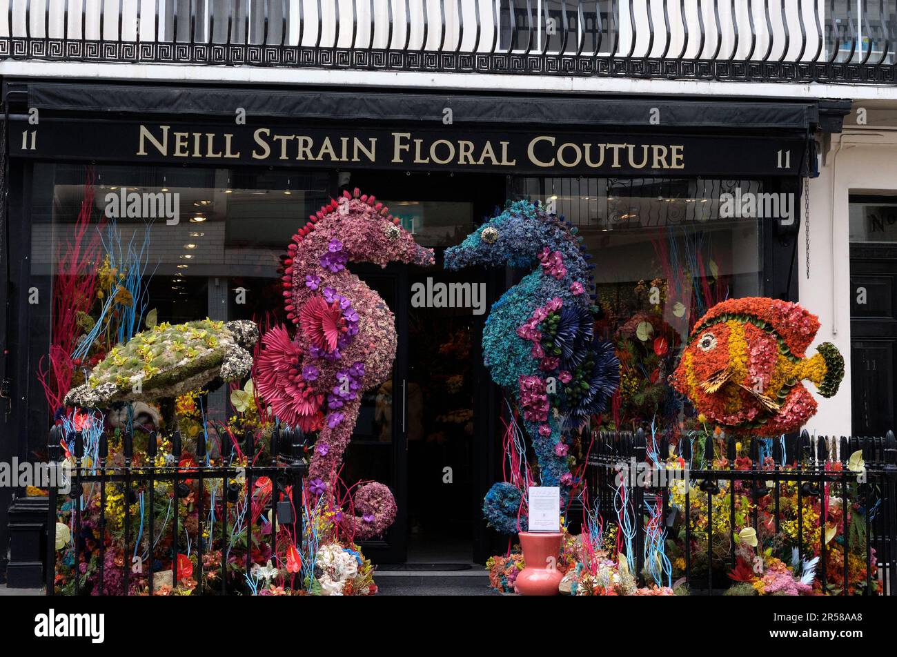 Floral arrangements display during the flower show in London,UK Stock ...