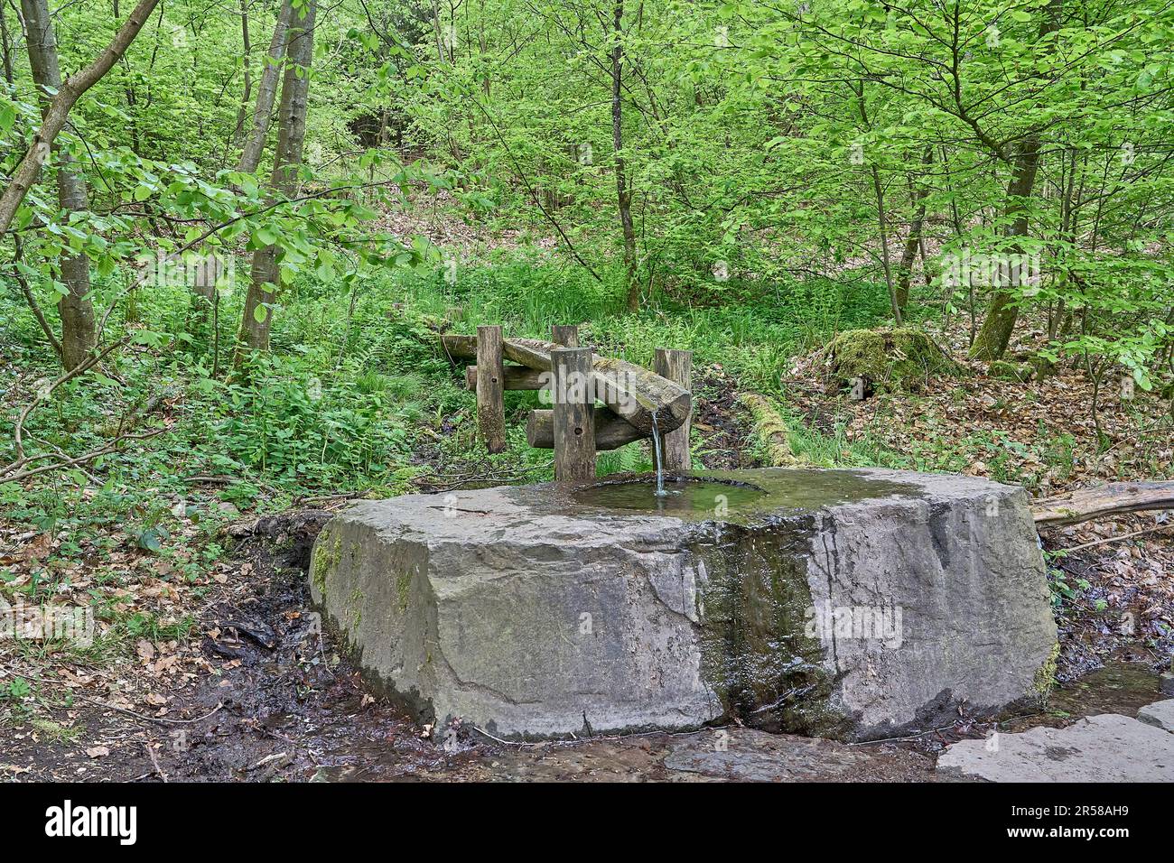 Siegquelle is the source of the river Sieg in the Rothaargebierge ...
