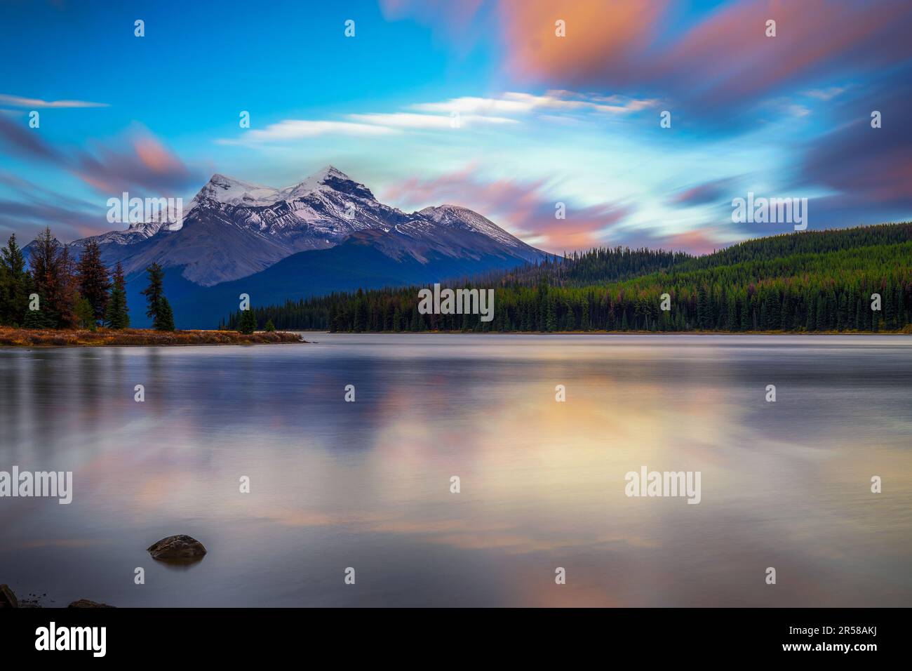 Jasper national tree hi-res stock photography and images - Alamy