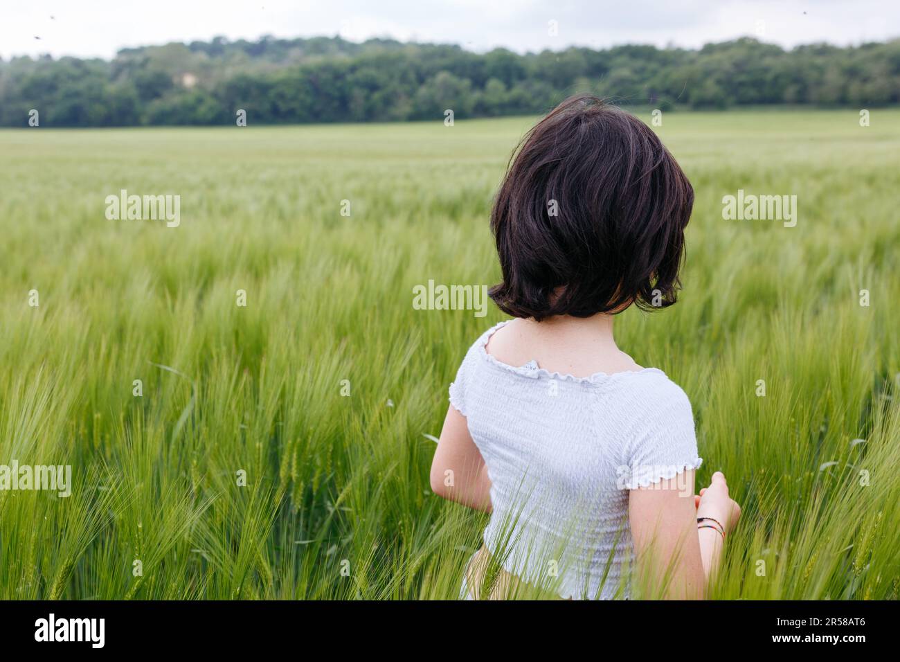 back view of child in white top walking in a vast field of wheat Stock ...