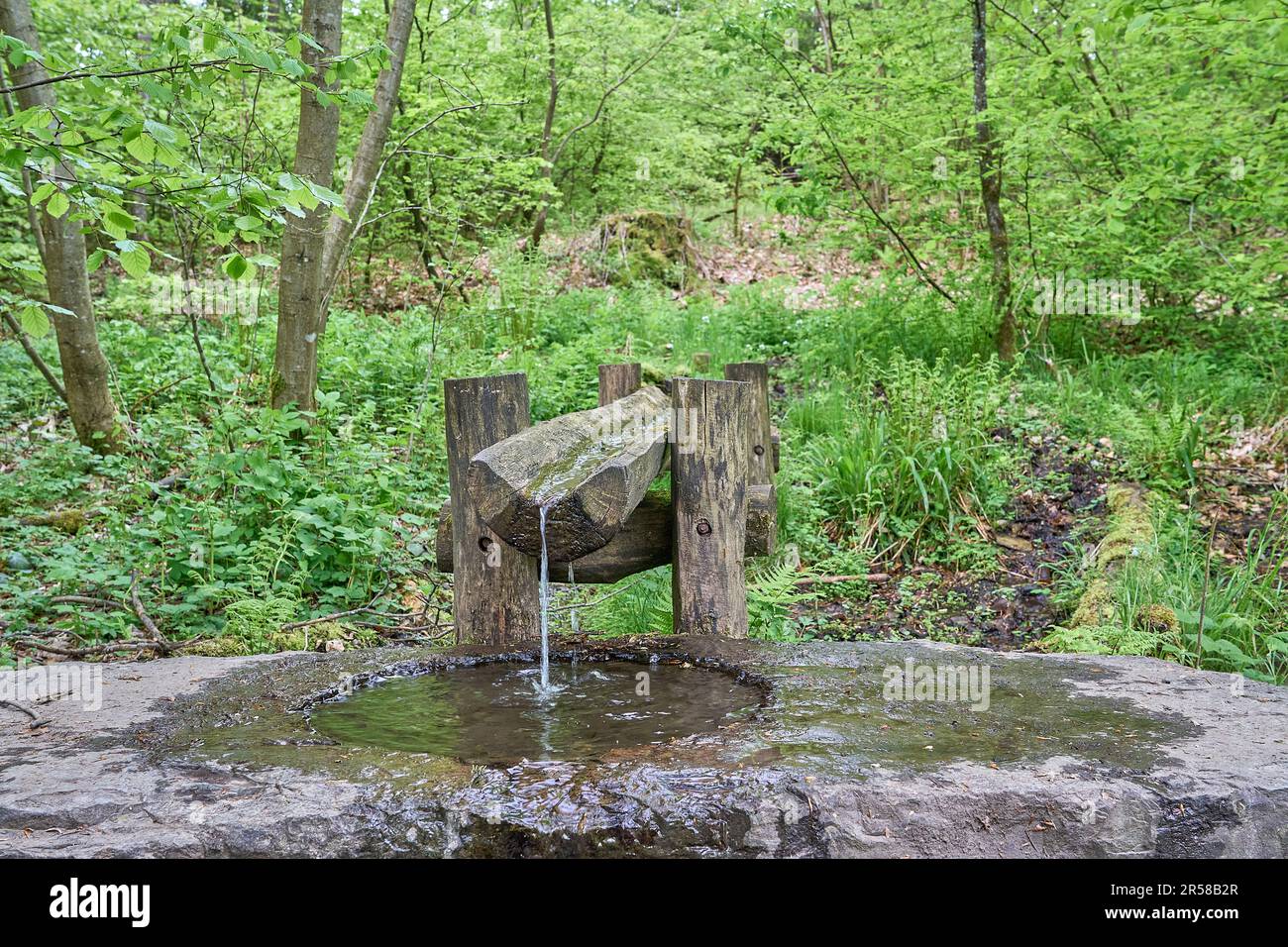 Siegquelle is the source of the river Sieg in the Rothaargebierge ...