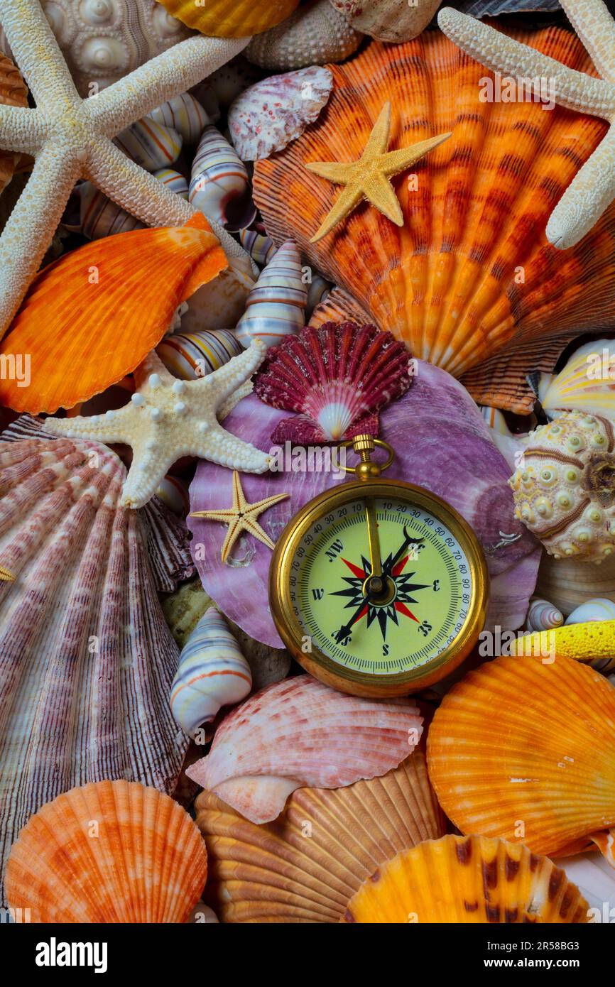 Brass Compass On Seashells Still Life Stock Photo - Alamy
