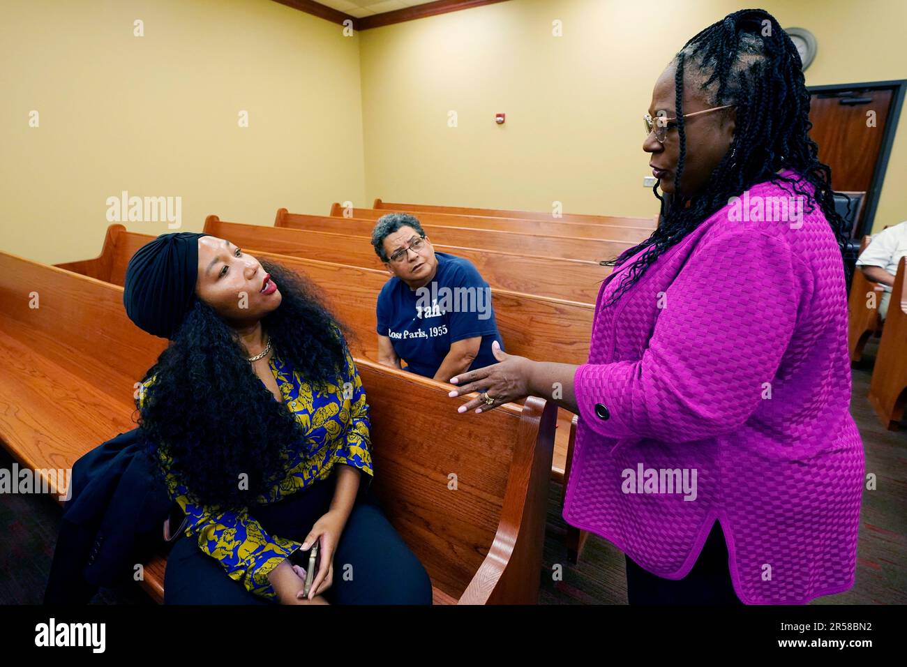 Jill Collen Jefferson, president of JULIAN, a civil rights and ...
