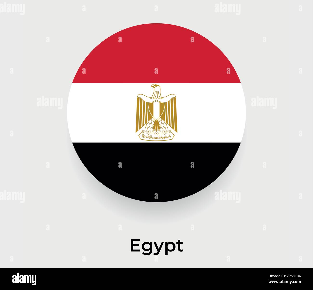 Egypt flag bubble circle round shape icon vector illustration Stock ...