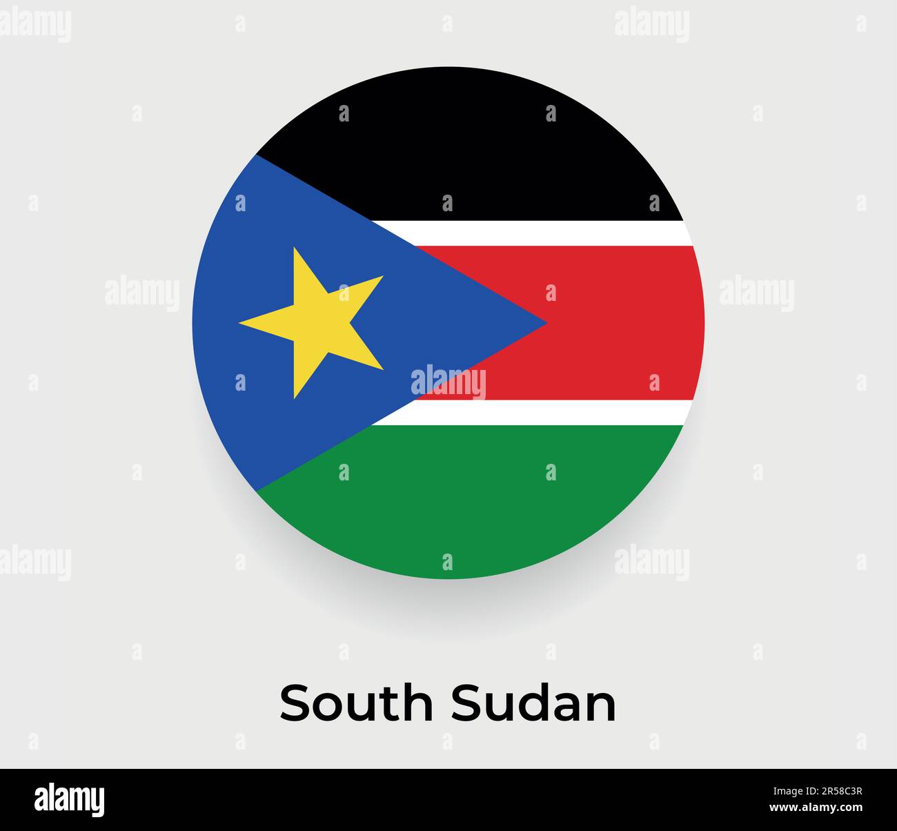 South Sudan flag bubble circle round shape icon vector illustration ...