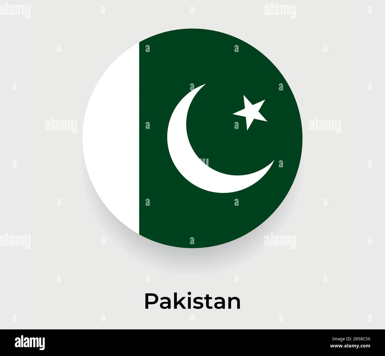 Pakistan Flag Bubble Circle Round Shape Icon Vector Illustration Stock