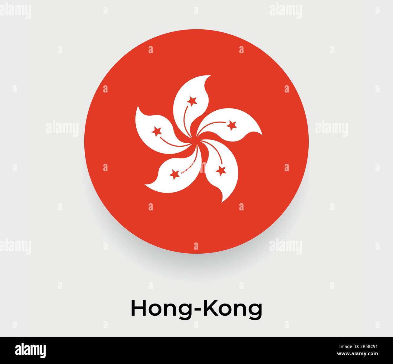 Hong Kong flag bubble circle round shape icon vector illustration Stock ...