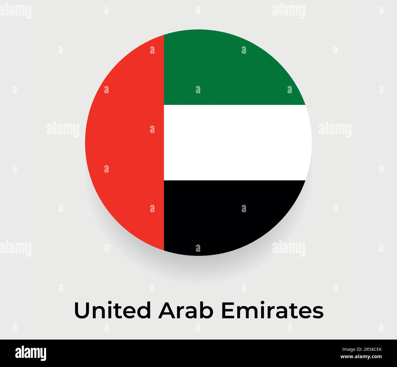 United Arab Emirates flag bubble circle round shape icon vector ...