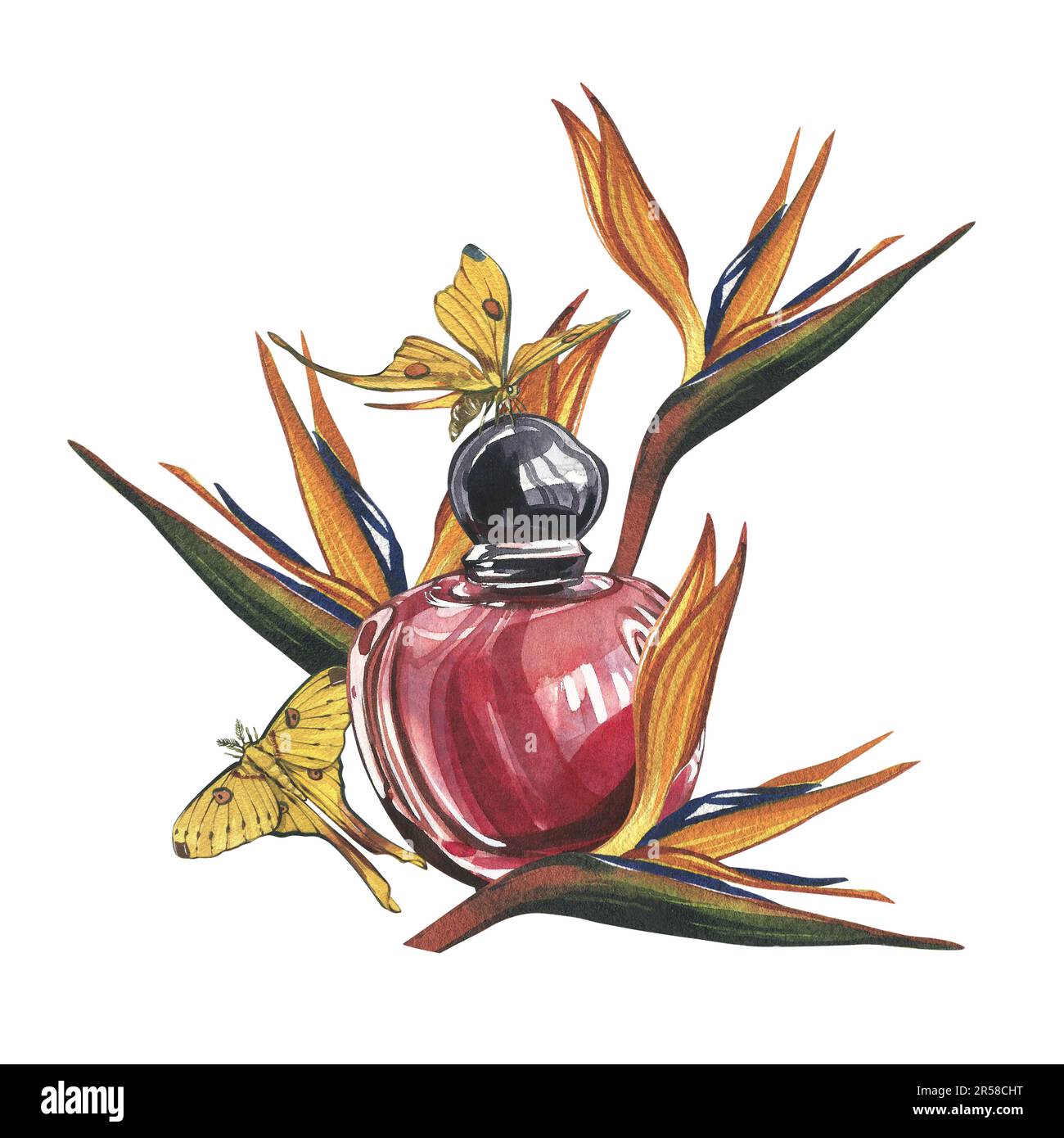 Perfume Bottle Designs Drawing