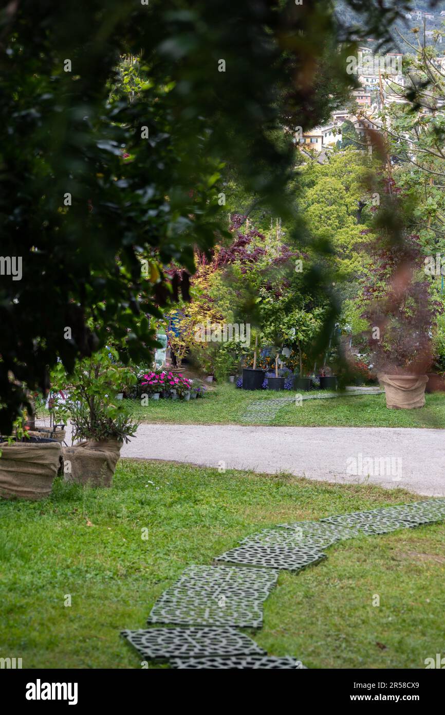 Pathway in public garden landscape. Garden design Stock Photo - Alamy