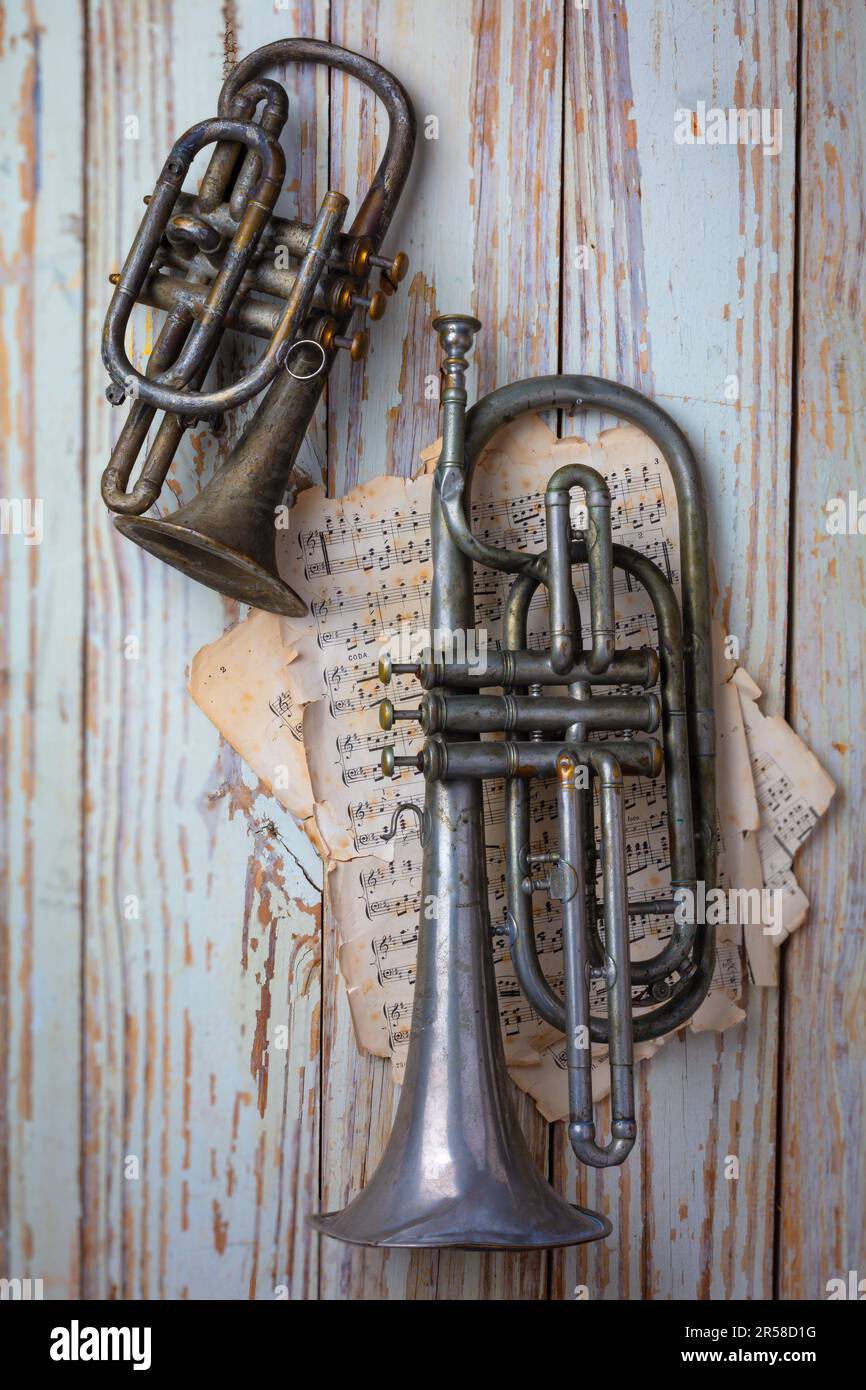 Vivid trumpets hi-res stock photography and images - Alamy