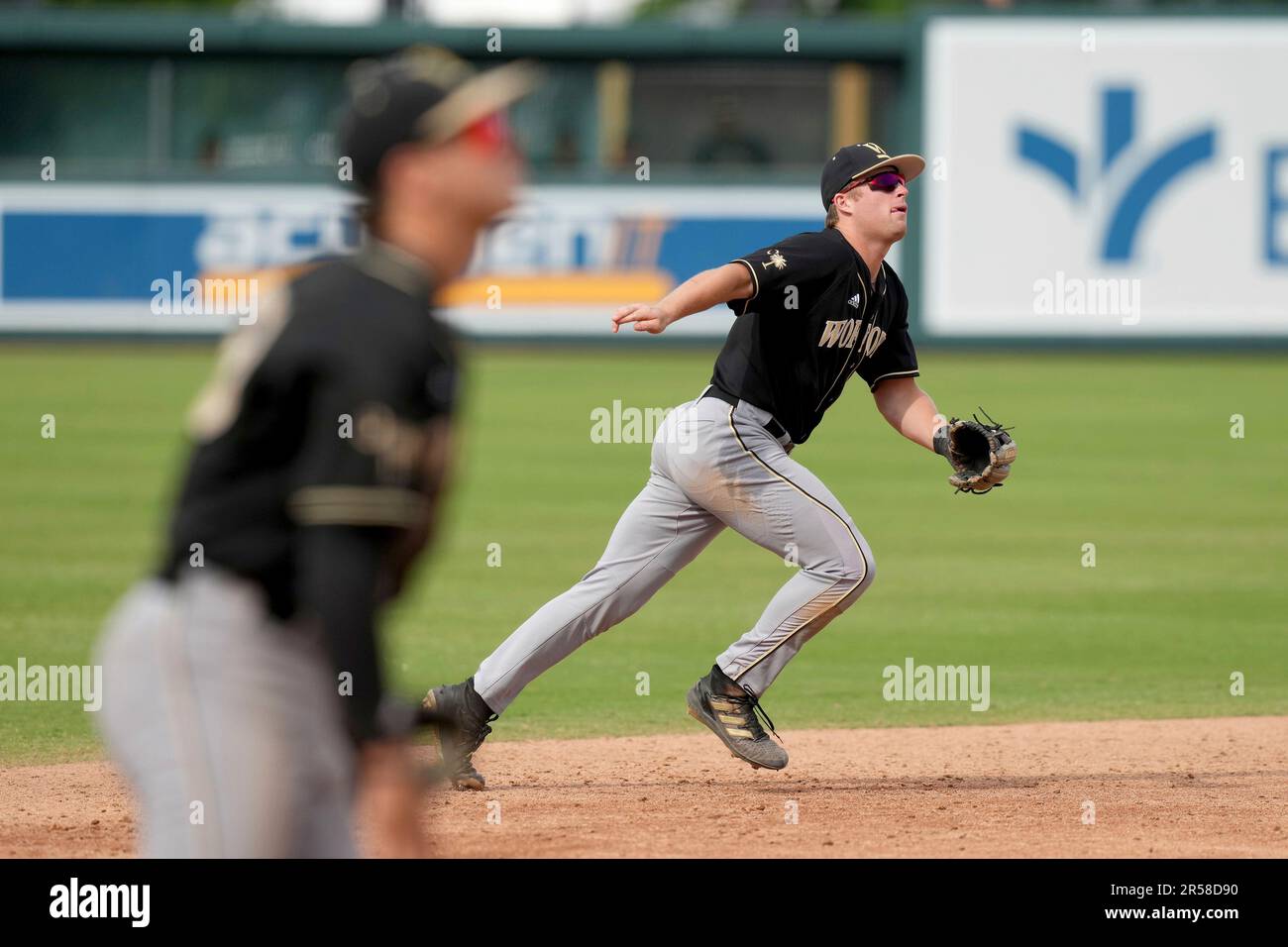 Shortstop Jack Renwick (8) of the Wofford Terriers tracks a ground ball ...