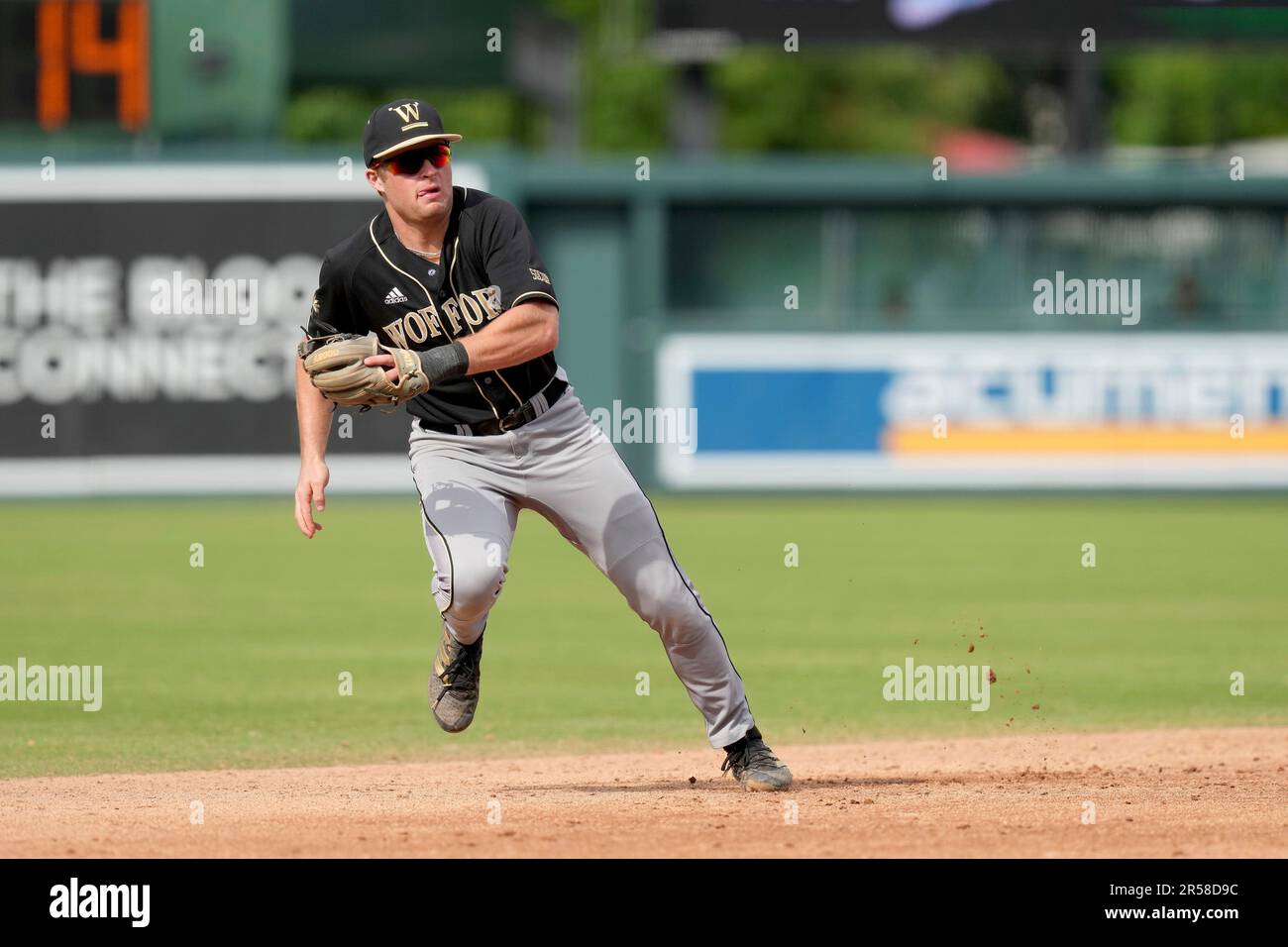 Shortstop Jack Renwick (8) of the Wofford Terriers tracks a ground ball ...