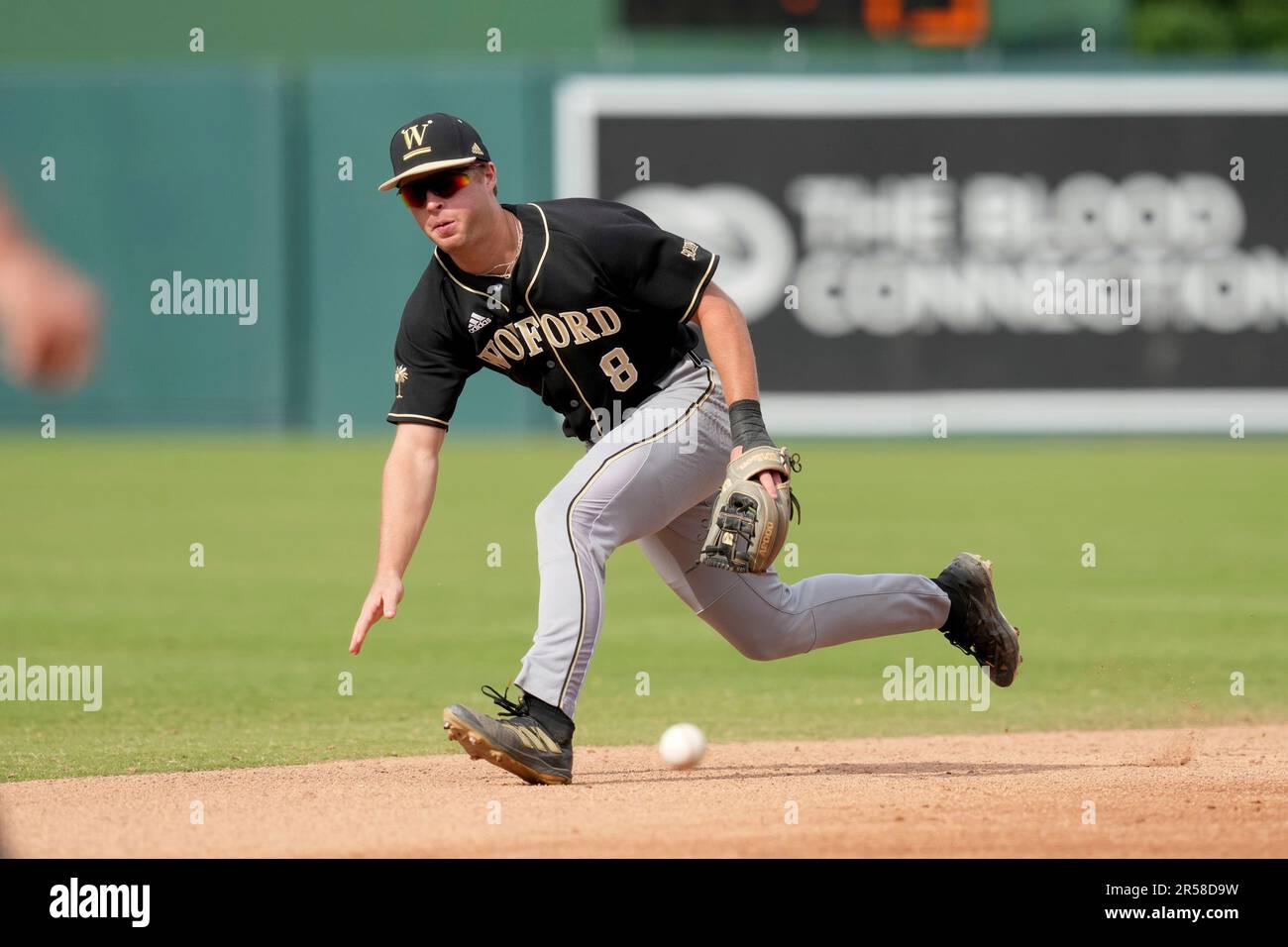 Shortstop Jack Renwick (8) of the Wofford Terriers tracks a ground ball ...