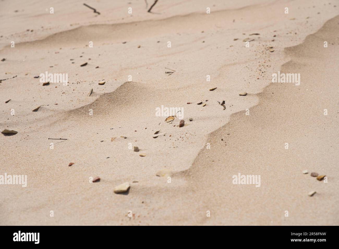 Close-up on sand ridges on beach in Pine Dock, Manitoba, Canada Stock ...