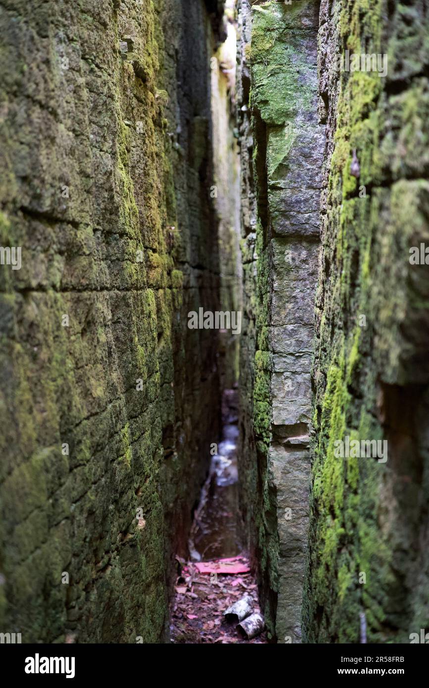 Moss growth on limestone cave in Pine Dock, Manitoba, Canada Stock ...