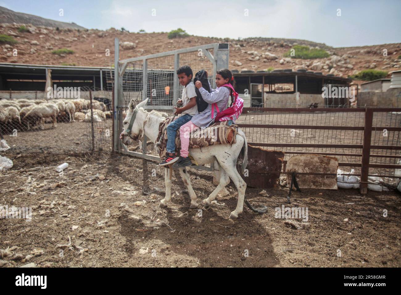 Children riding a donkey to school hi-res stock photography and images ...
