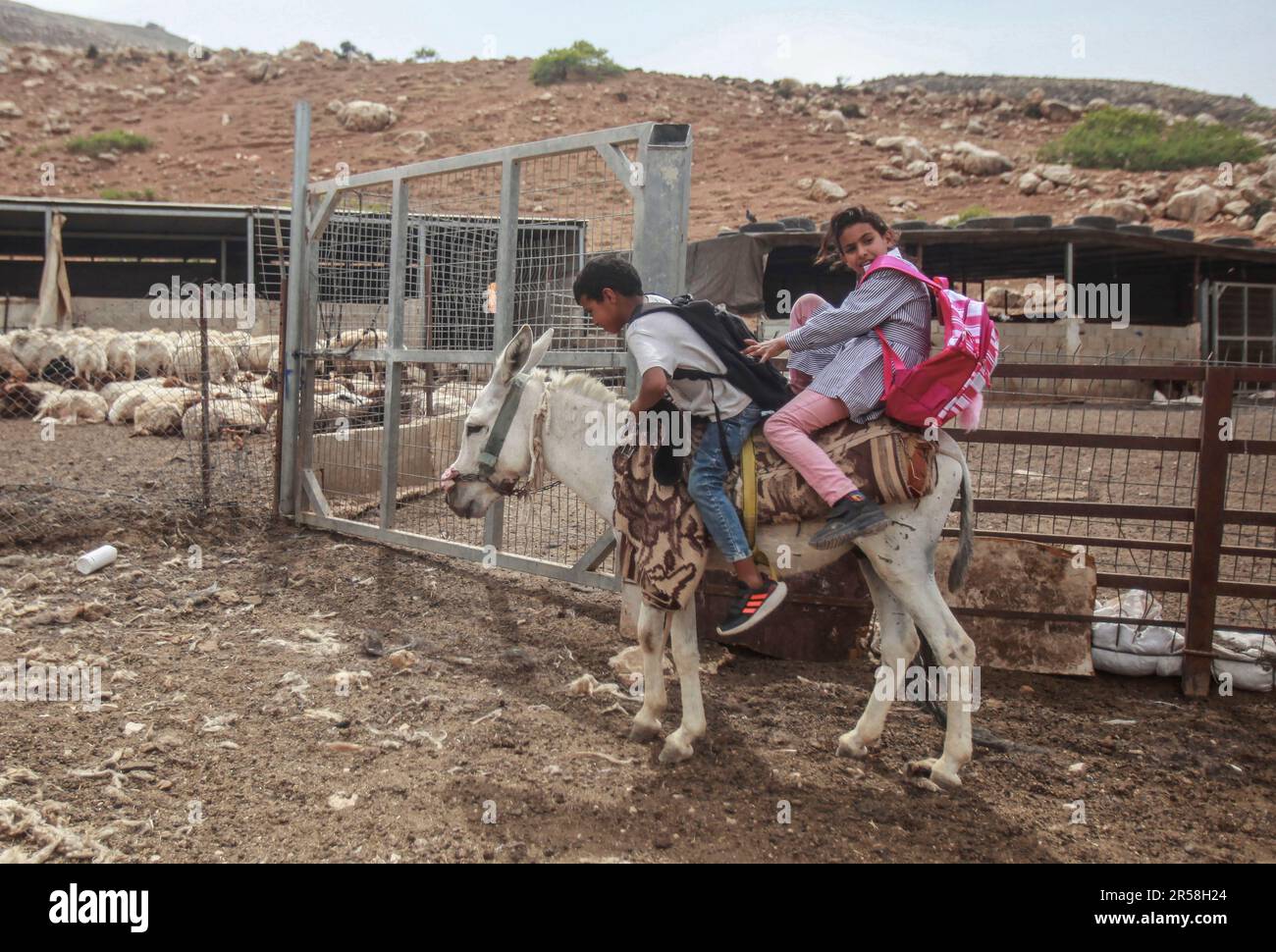 Children riding a donkey to school hi-res stock photography and images ...