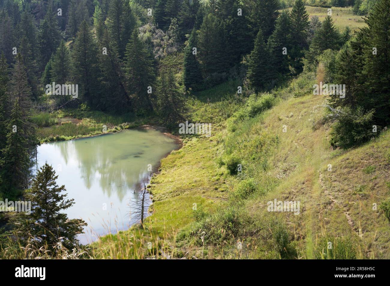 Devil's Punch Bowl at Spruce Woods, Manitoba, Canada Stock Photo - Alamy
