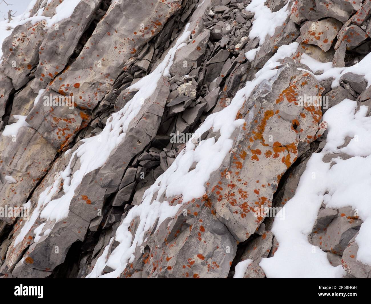 Banff upper hot springs hi-res stock photography and images - Alamy