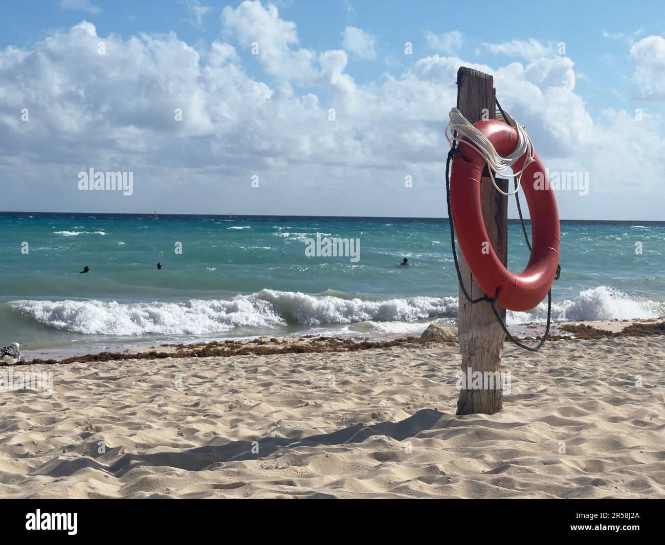 Life ring posted on beach in Playa del Carmen, Quintana Roo, Mexico ...