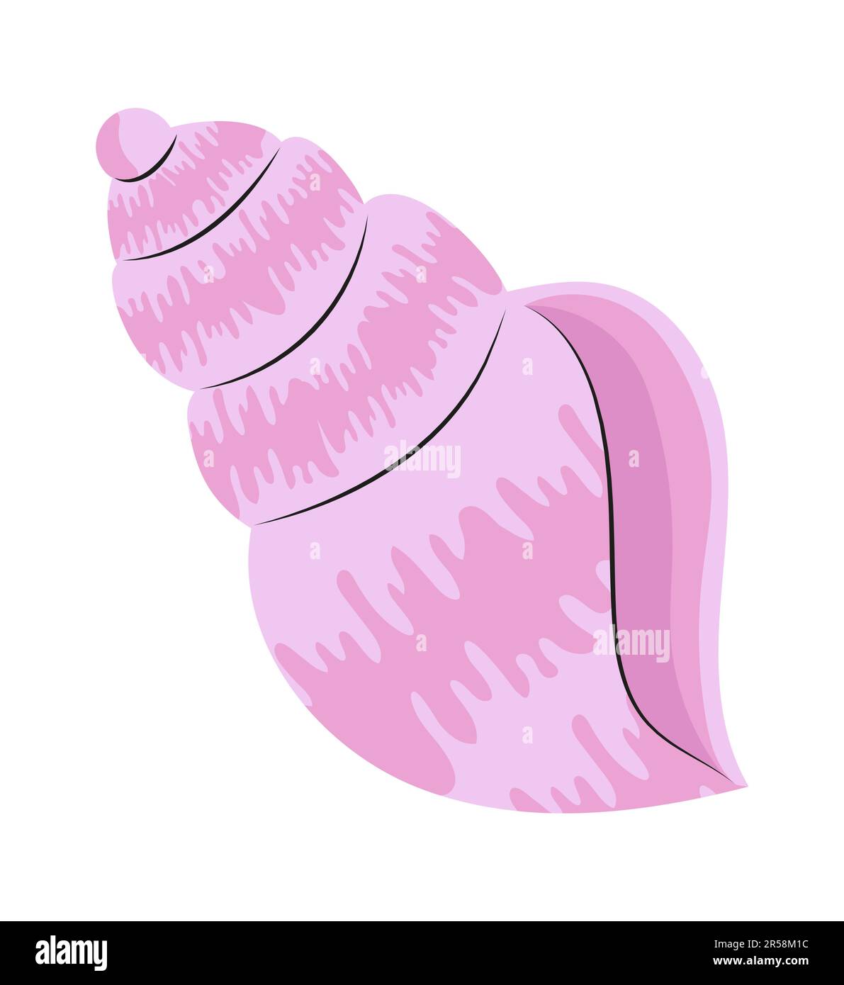 Sea schell, conches of sea snail vector.Colorful shell, ocean conch ...