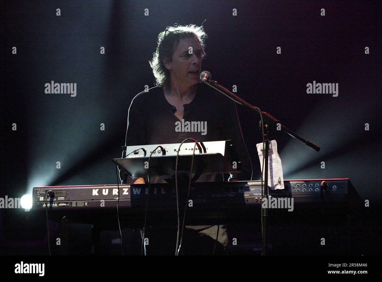 Andrew Duffield of the Models performing at the Homebake music festival ...