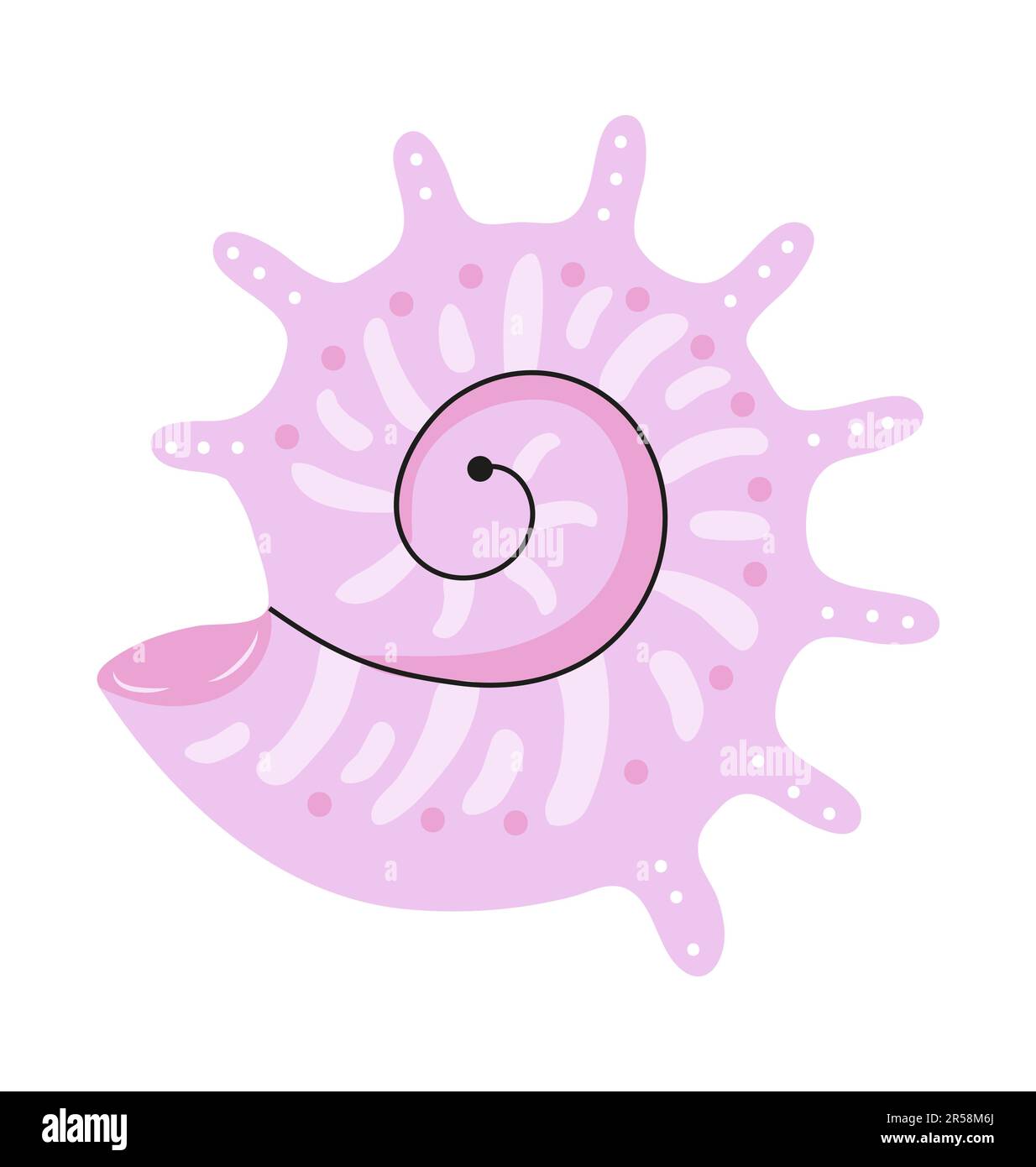 Sea schell, conches of sea snail vector.Colorful shell, ocean conch ...