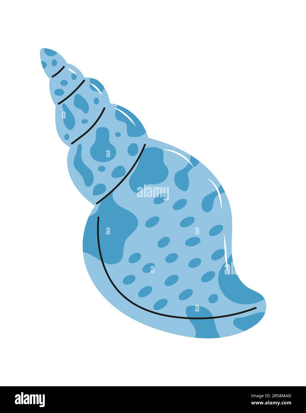 Sea schell, conches of sea snail vector.Colorful shell, ocean conch ...