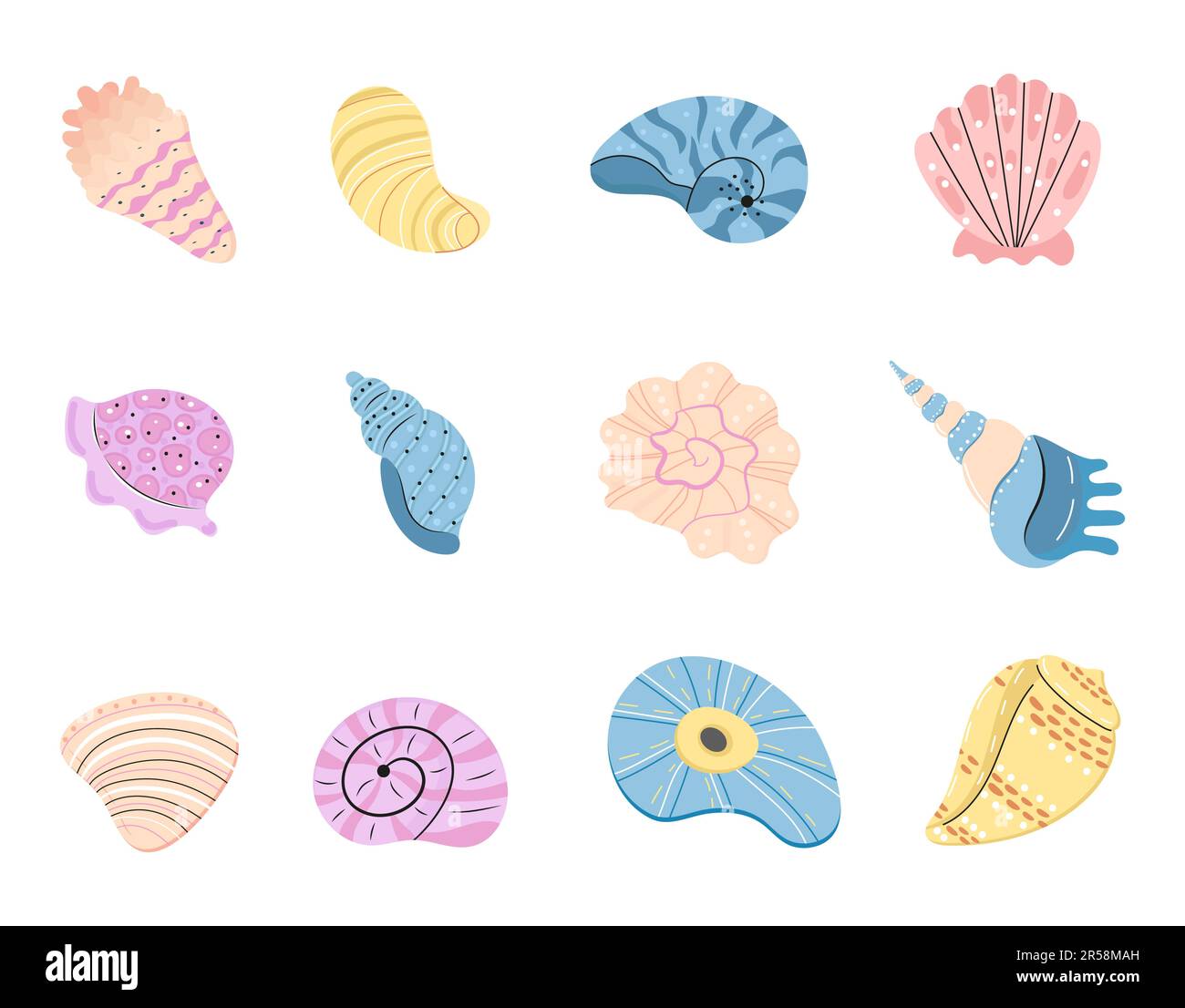 Sea schell, conches of sea snail vector.Colorful shell, ocean conch ...