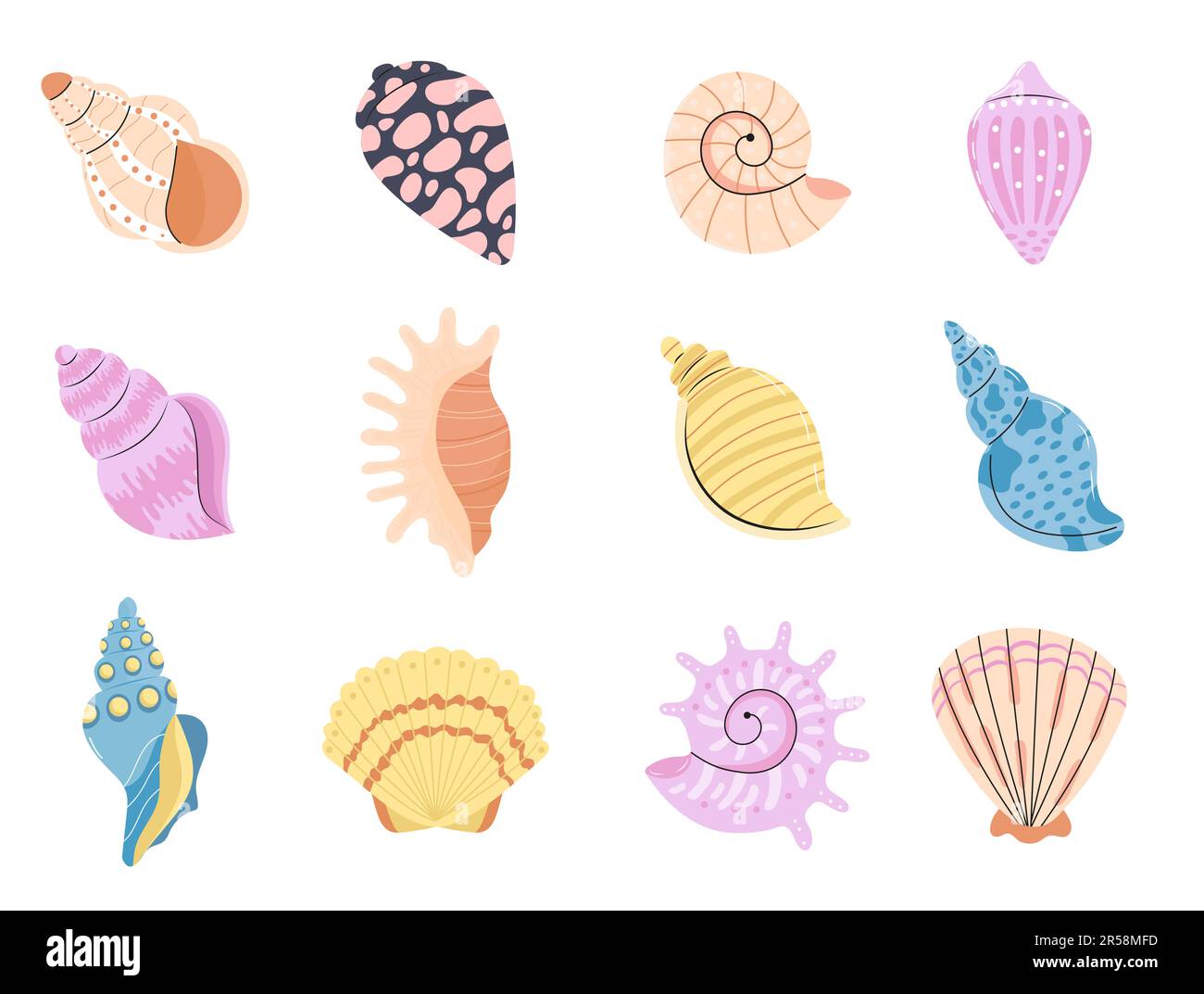 Sea schell, conches of sea snail vector.Colorful shell, ocean conch ...