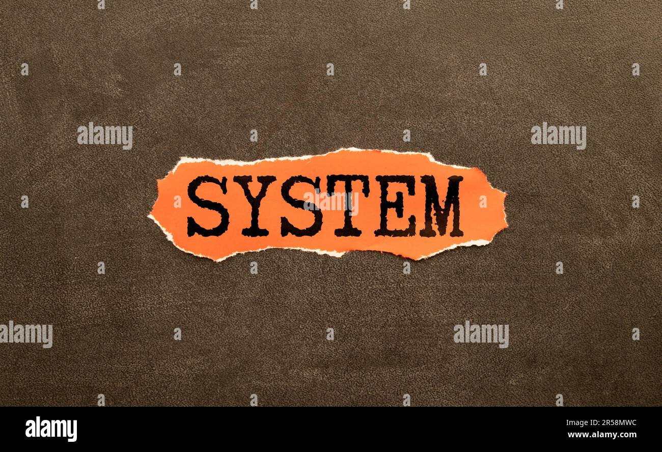 Word System from wooden letters on light grey background Stock Photo ...