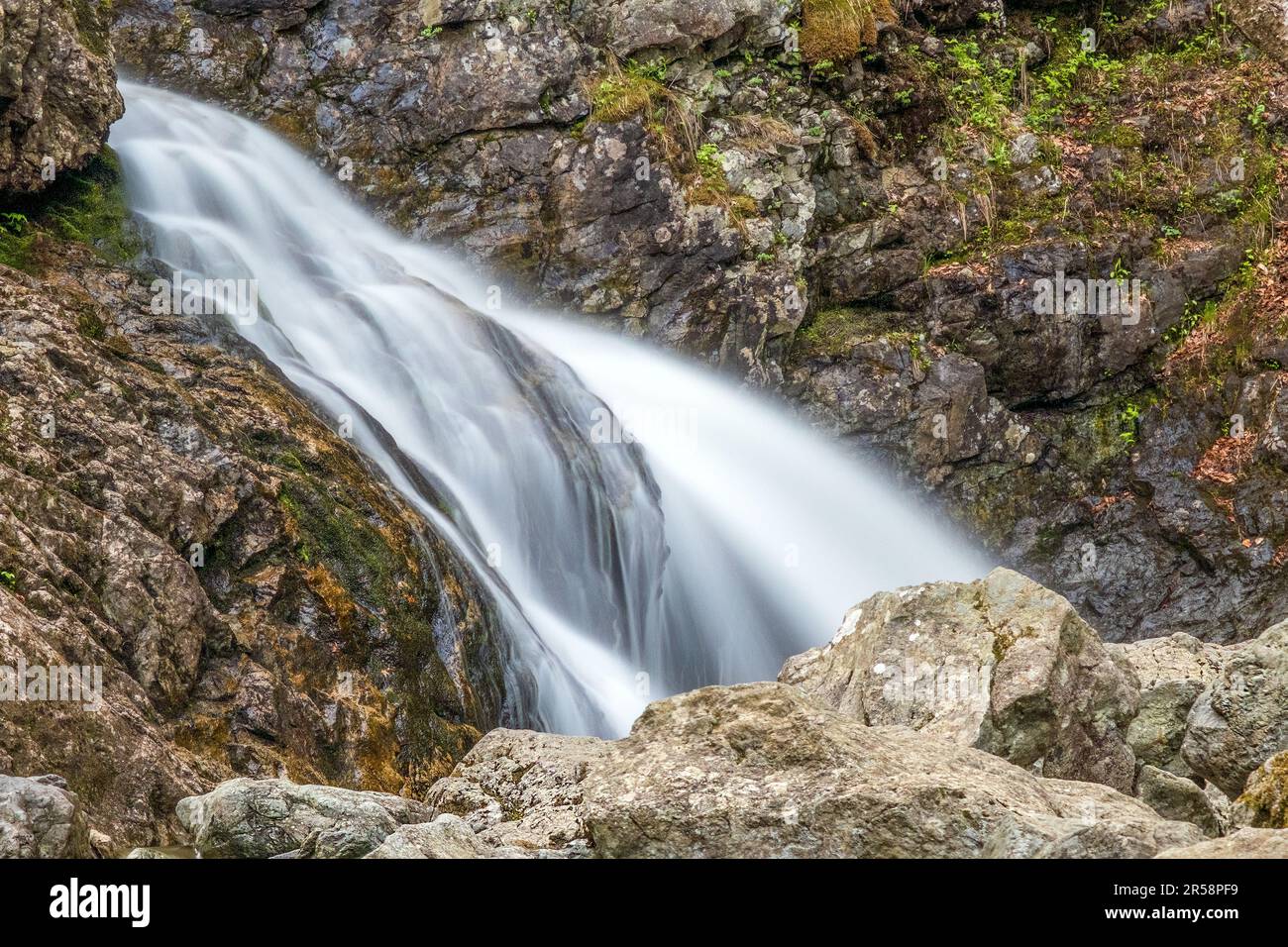 The hiking trail through the forest in Uisge Ban Falls Provincial Park ...