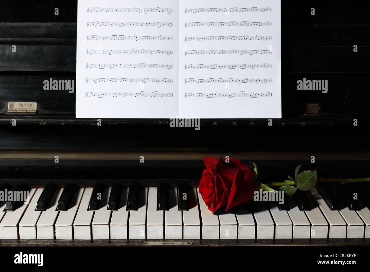 Beautiful red rose and musical notes on piano Stock Photo - Alamy