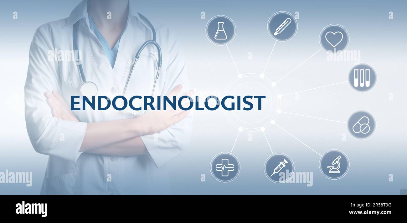 Endocrinologist, word and scheme with icons on light background, banner ...