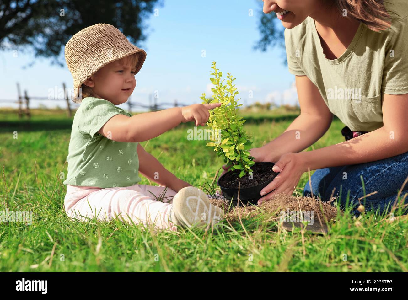 Mother and her baby daughter planting tree together in garden, closeup ...