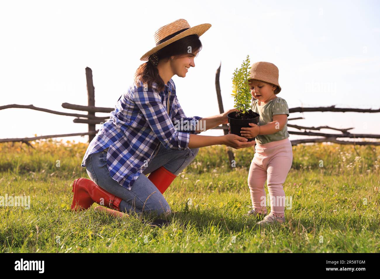 Mother and her baby daughter planting tree together in countryside ...