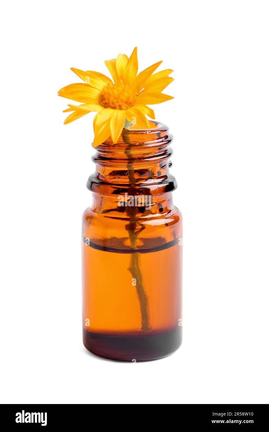 Bottle of essential oil and golden aster flower on white background ...