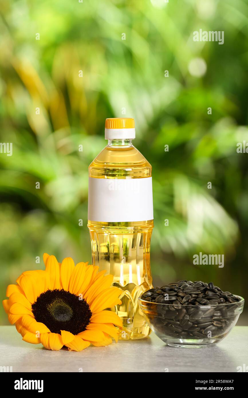Sunflower cooking oil, seeds and yellow flower on light grey table ...