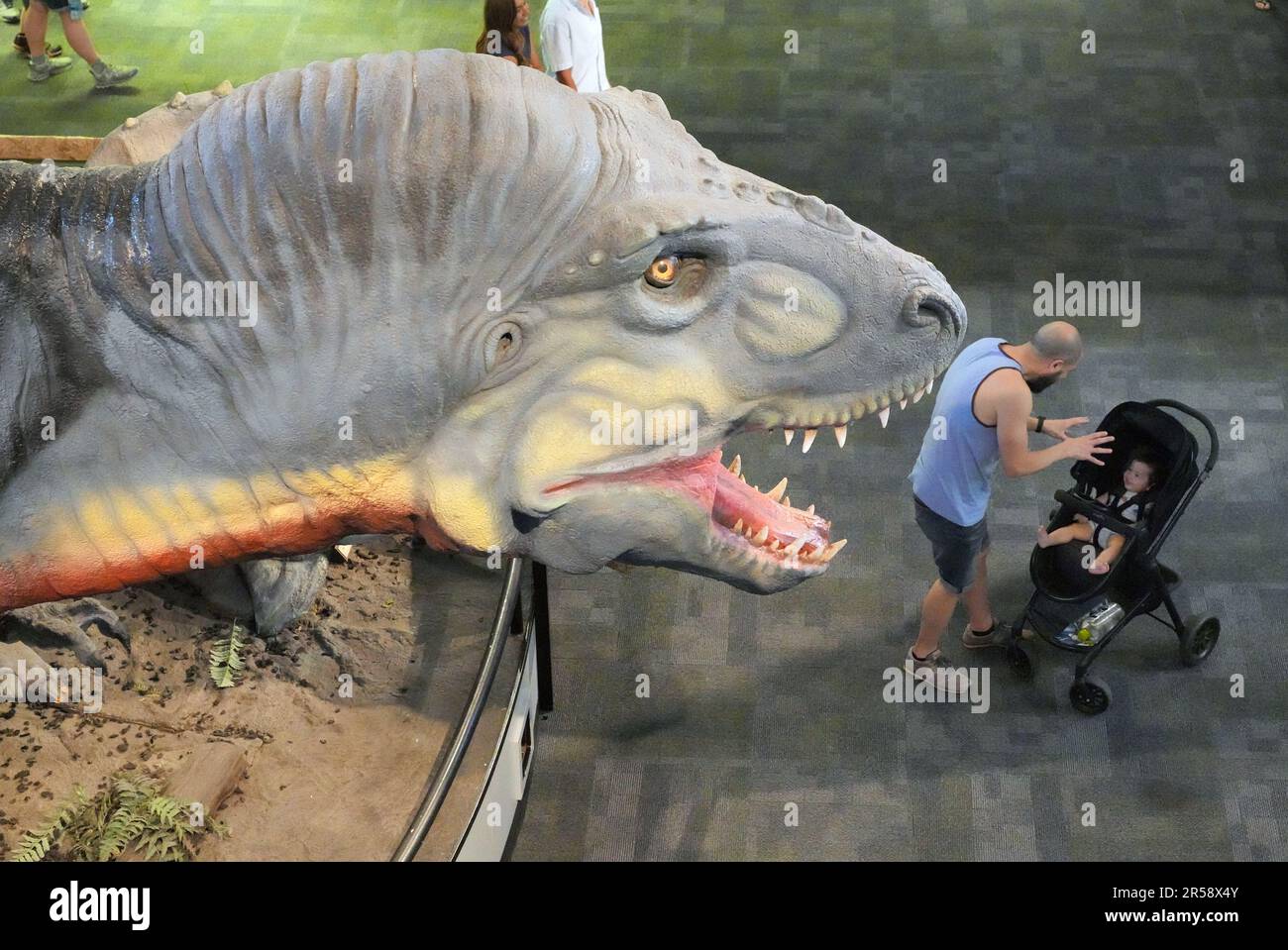 St. Louis, United States. 01st June, 2023. A man Imitates the growl of ...