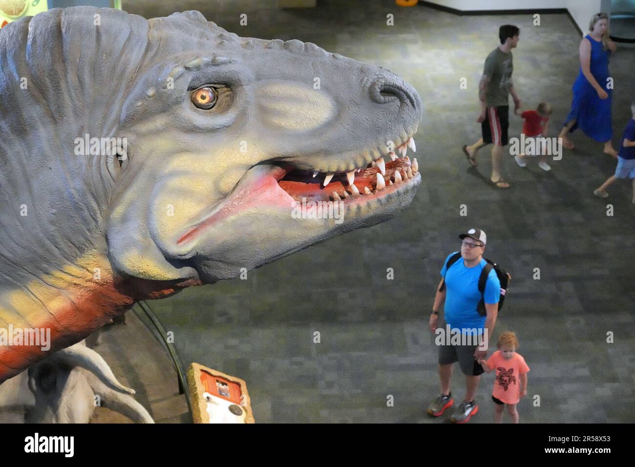 St. Louis, United States. 01st June, 2023. A man and child gaze at the ...