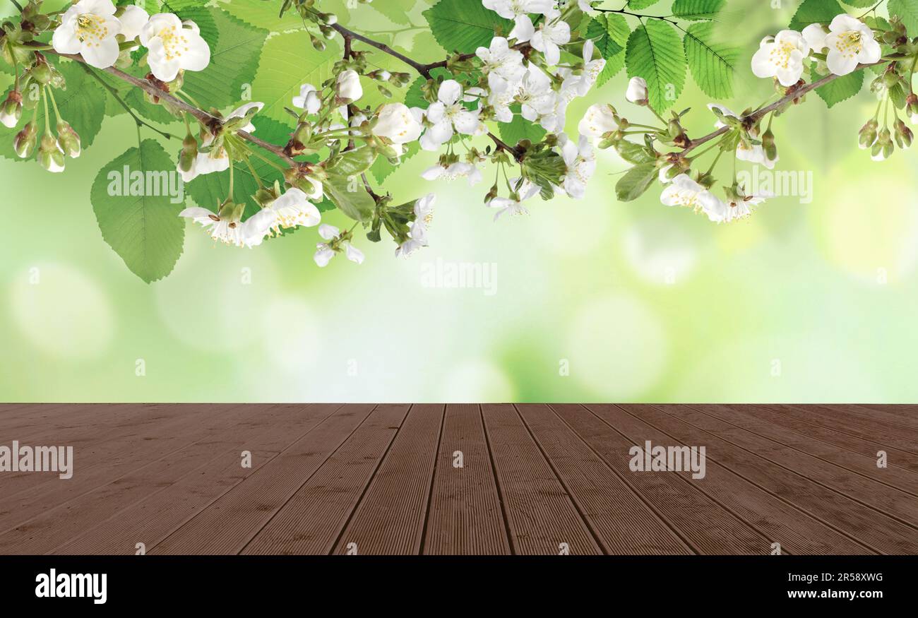 Spring tree branches with beautiful flowers over empty wooden surface ...