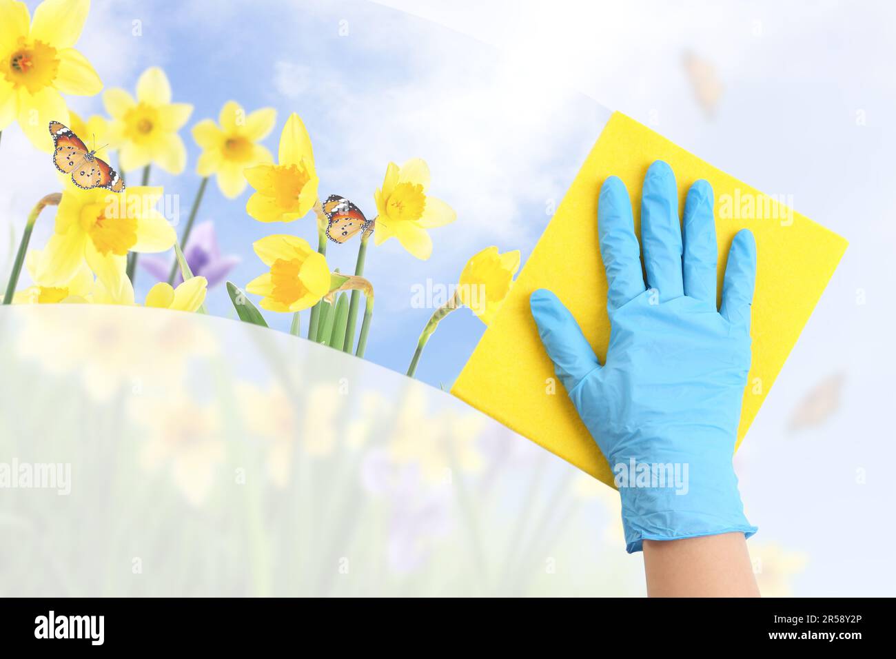 Spring cleaning. Woman washing window, closeup. View on flowers through ...