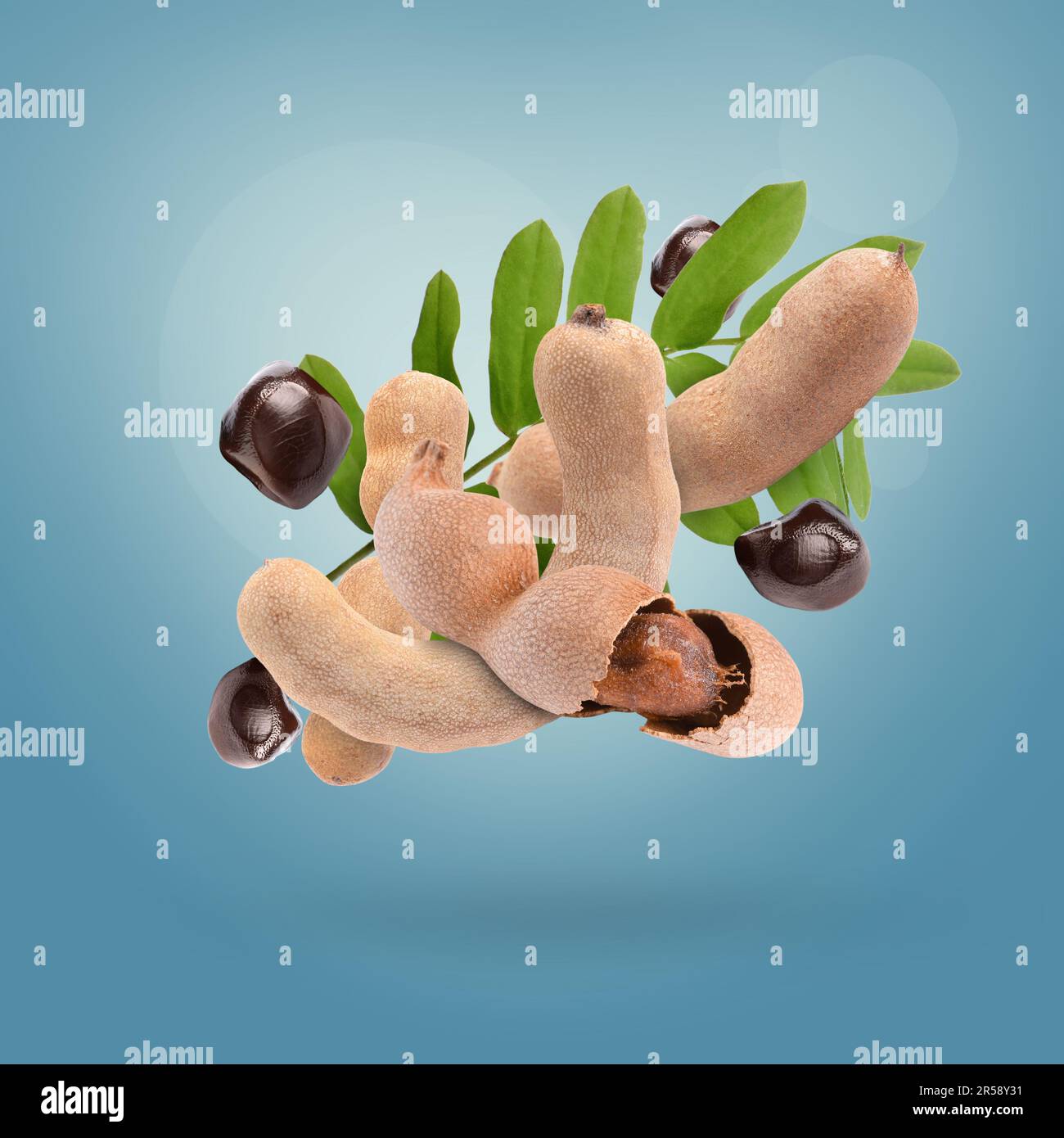 Ripe tamarind pods, seeds and leaves falling on light blue background ...